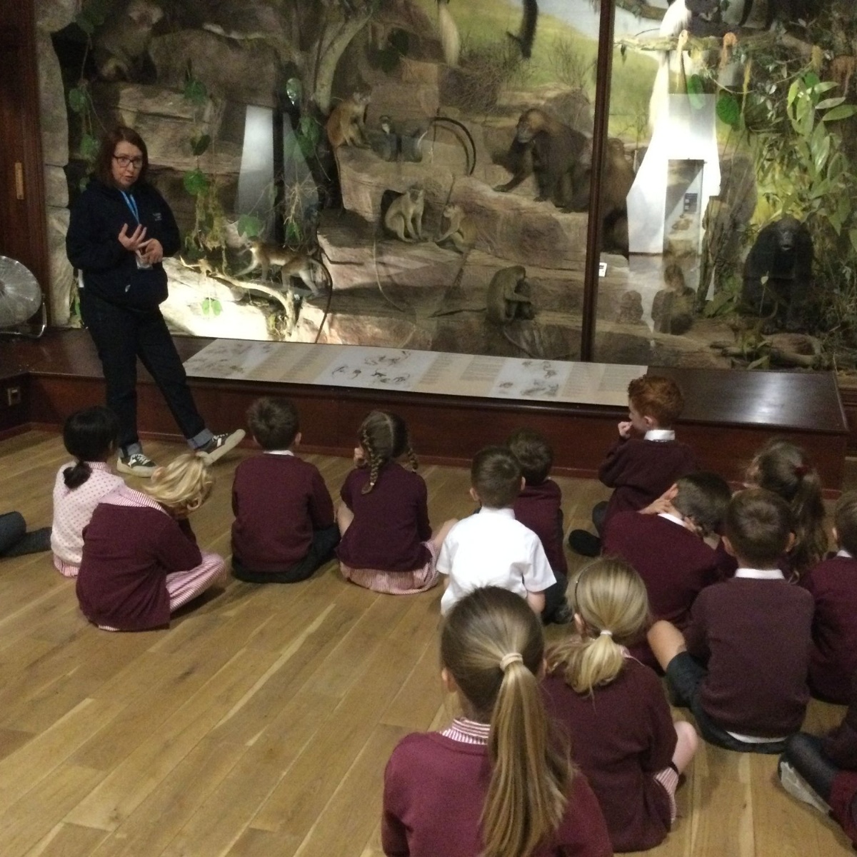 Ramsgate Holy Trinity C.E. (Aided) - Quex Trip Year 1 and 2